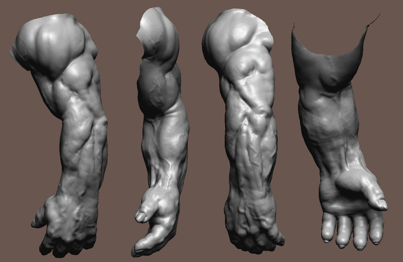 Wojtek Odrzywolski - Orc anatomy study
