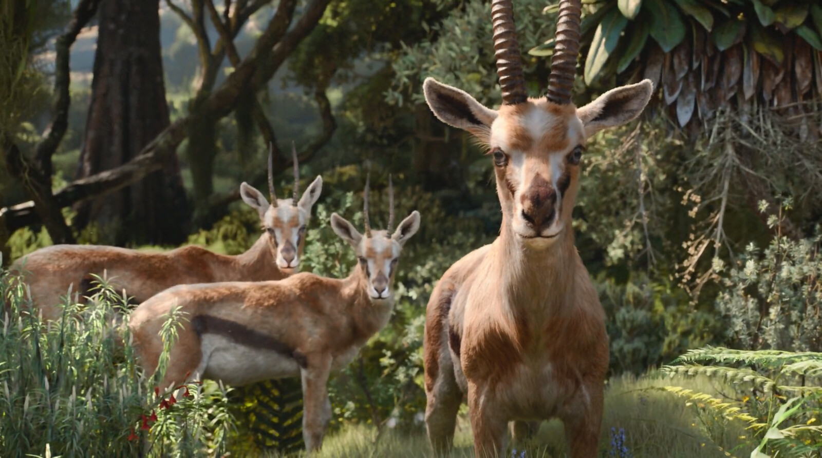 Marcos Silva - "The Lion King" Grubs Sequence