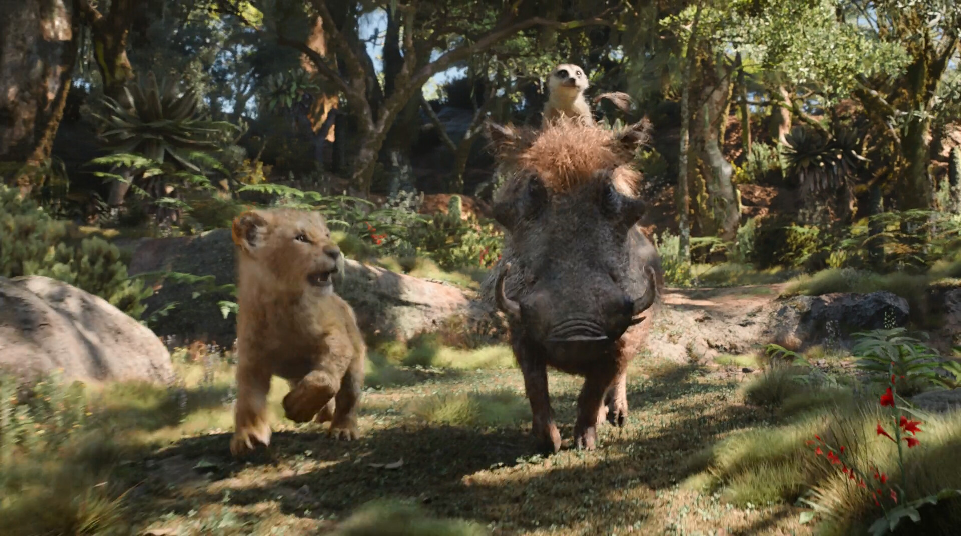 Marcos Silva - "The Lion King" Grubs Sequence