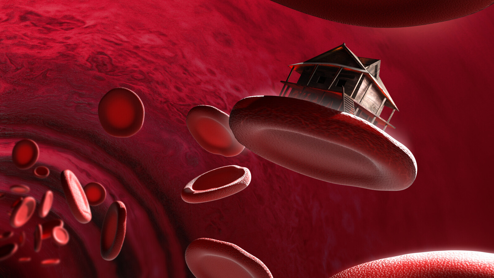 Andrew Wallace - Blood House