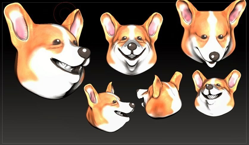 ArtStation - Quick corgi doodle