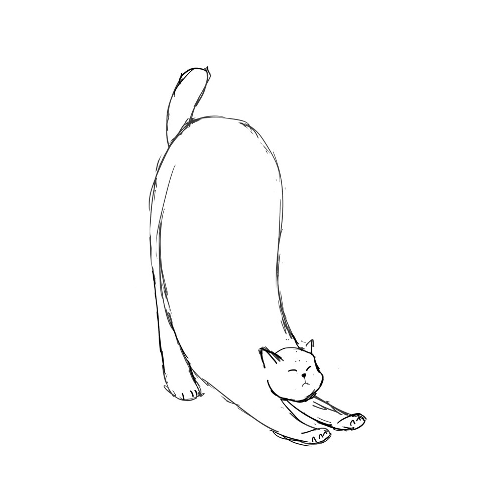 Cat Stretching Drawing