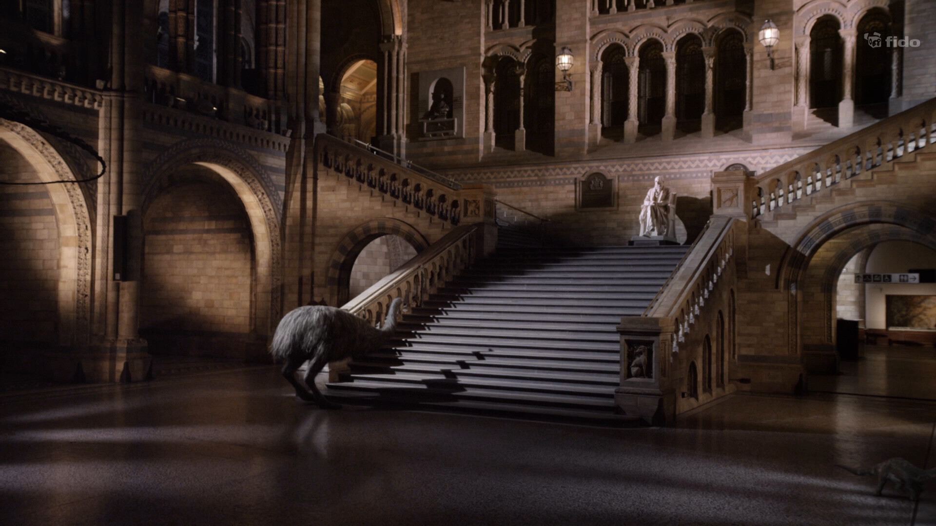 Natural History Museum Alive