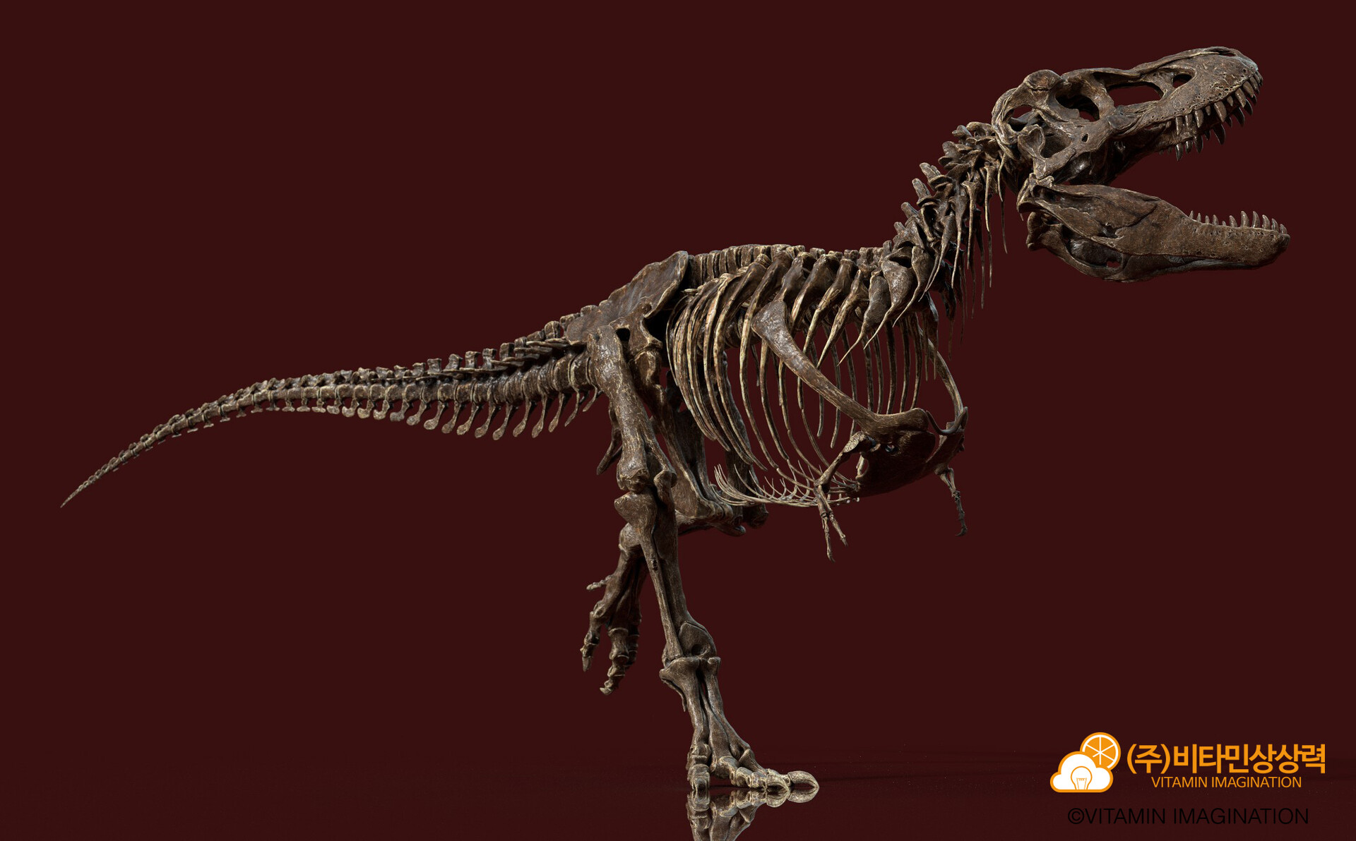 tarbosaurus skeleton