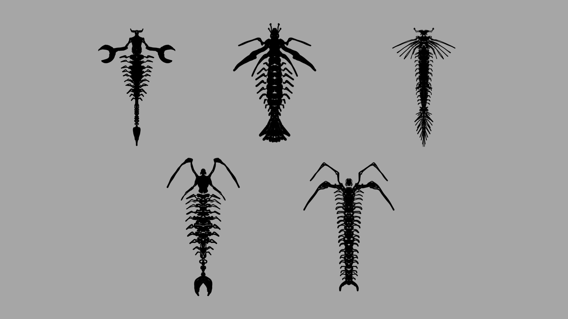 Y. Hari Krishna - 3d creature design