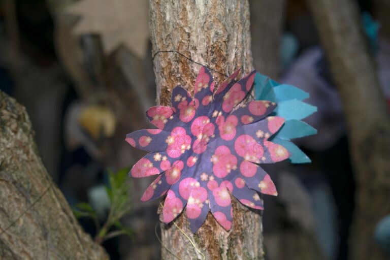 Agathe Cozzolino - L'Effet Papillon