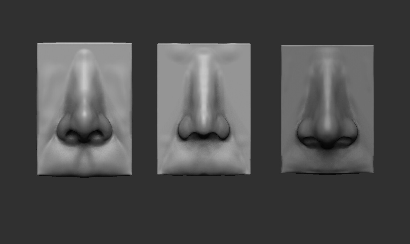 ArtStation - Nose anatomy training