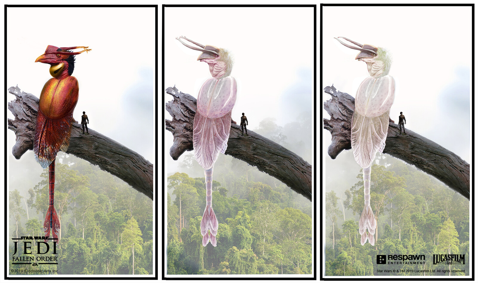 Amy Fry - Shyyyo Bird