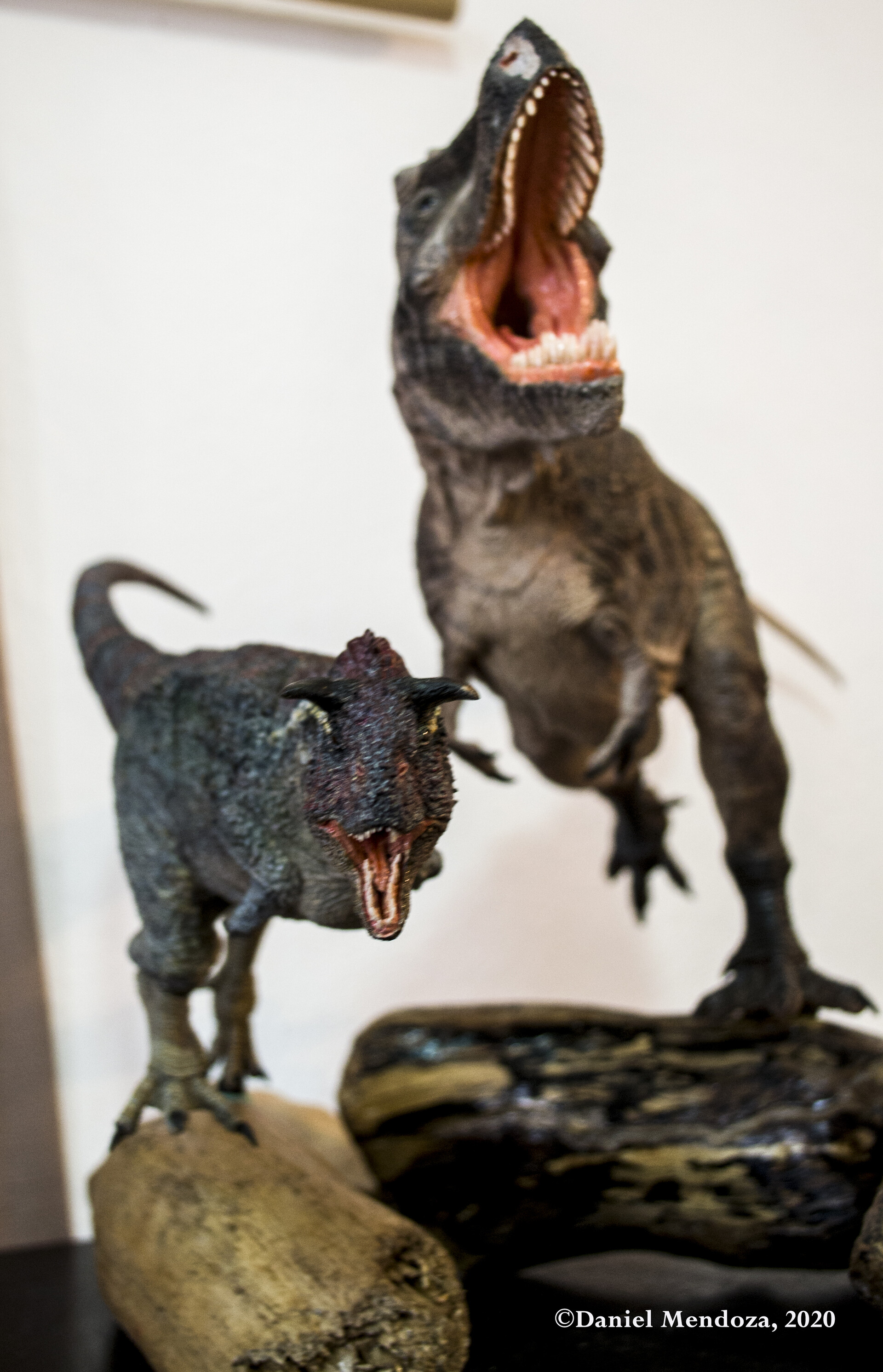 Daniel Isaac - Carnotaurus sastrei sculpture