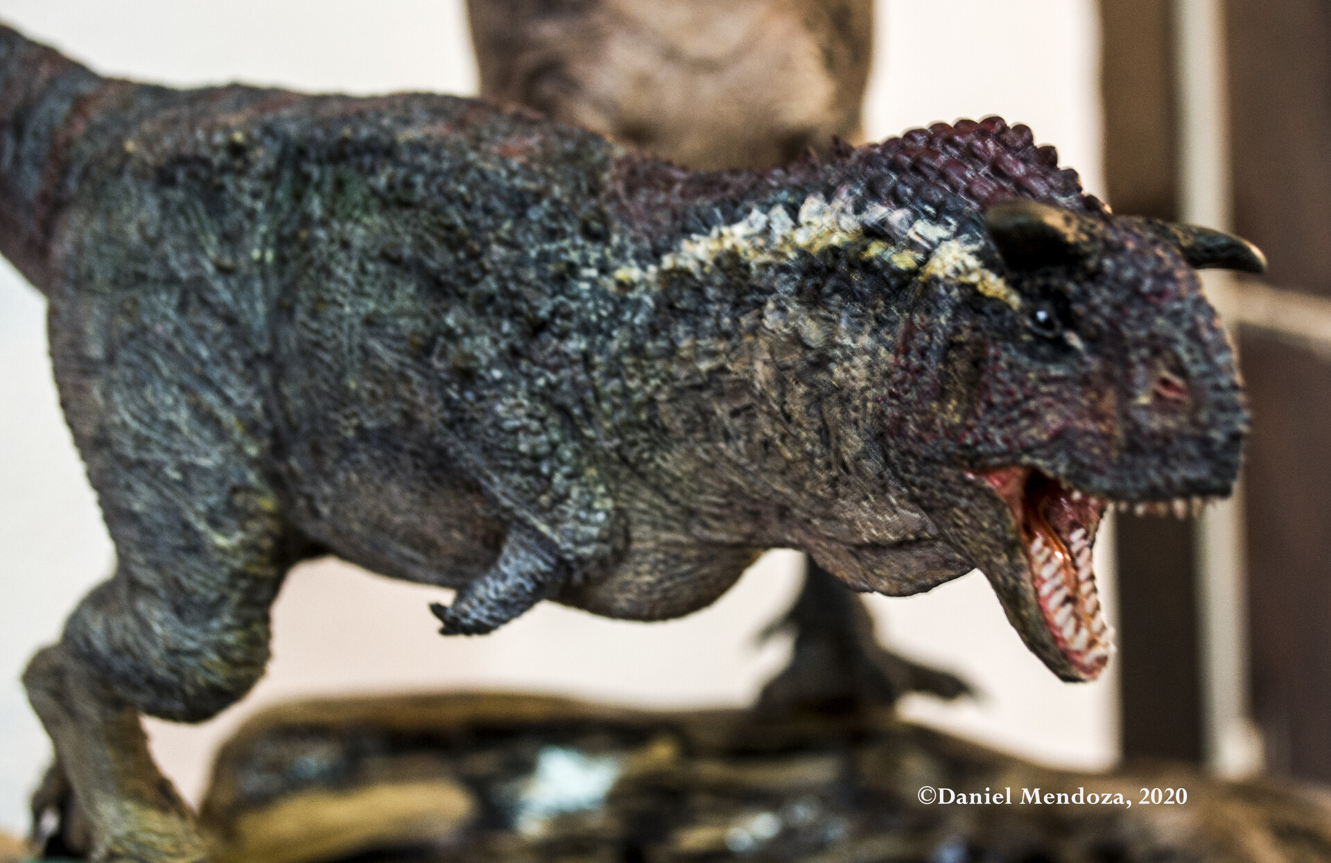 Daniel Isaac - Carnotaurus sastrei sculpture