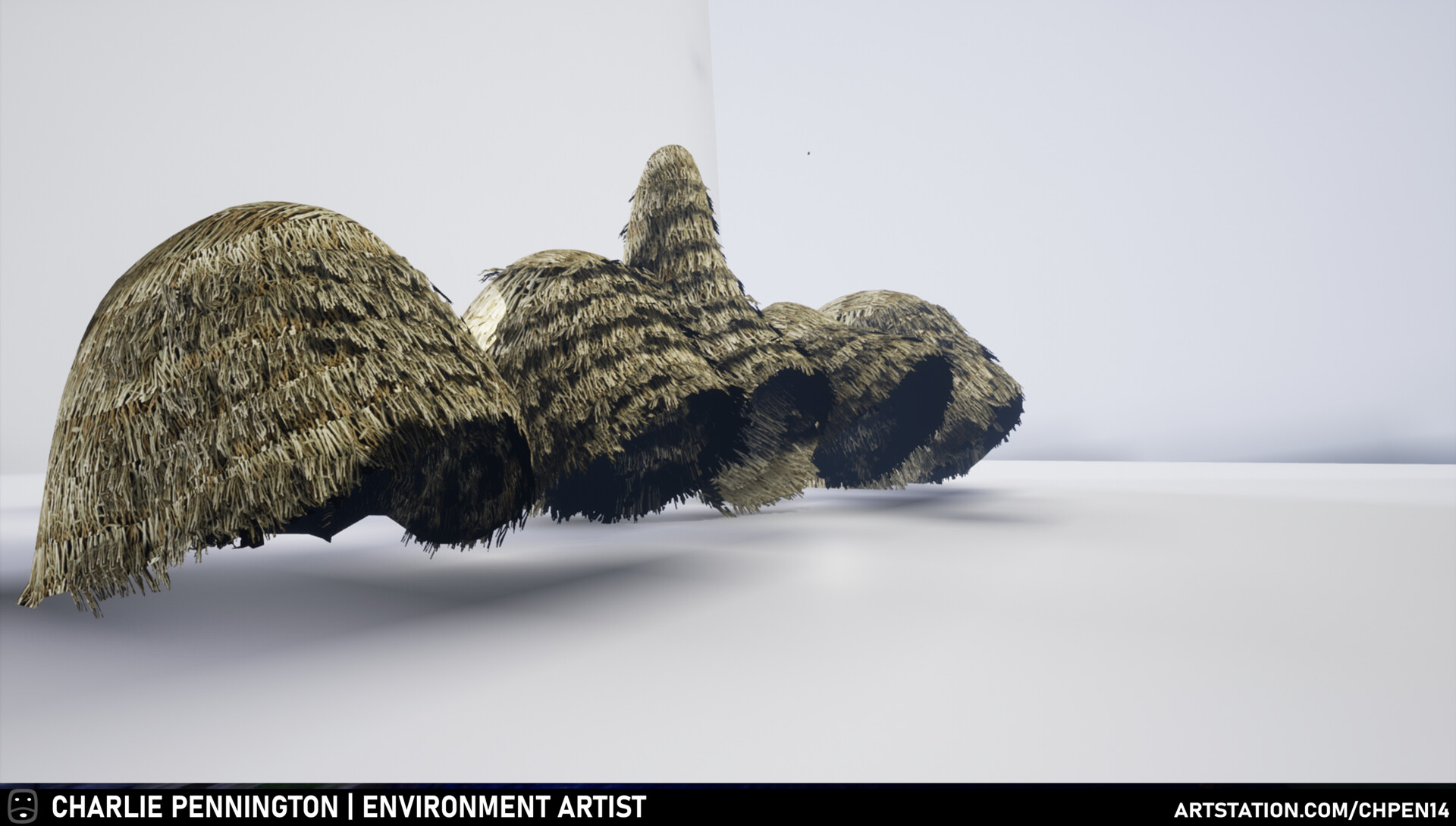 Charlie Pennington - Forest Hut Settlement