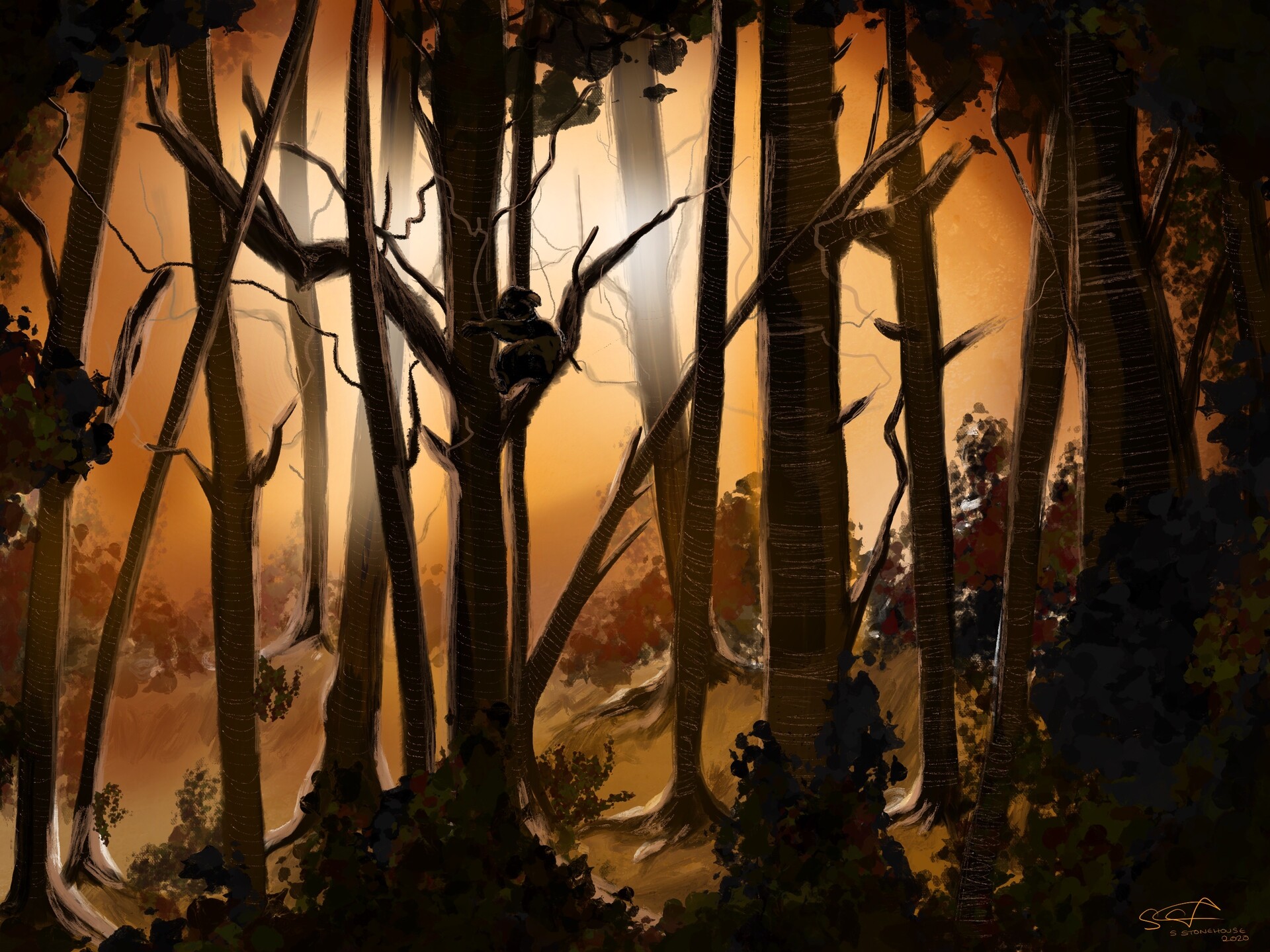 ArtStation - The Bushfires