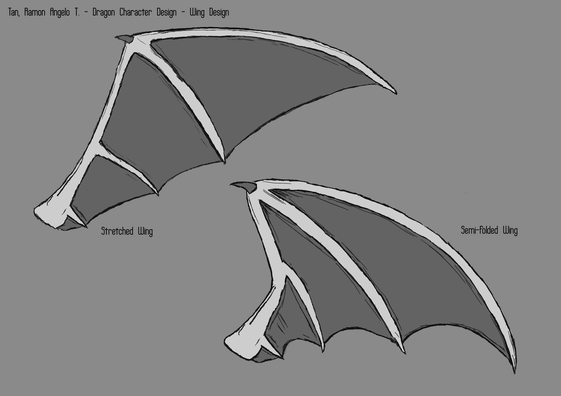 how to draw dragon wings folded