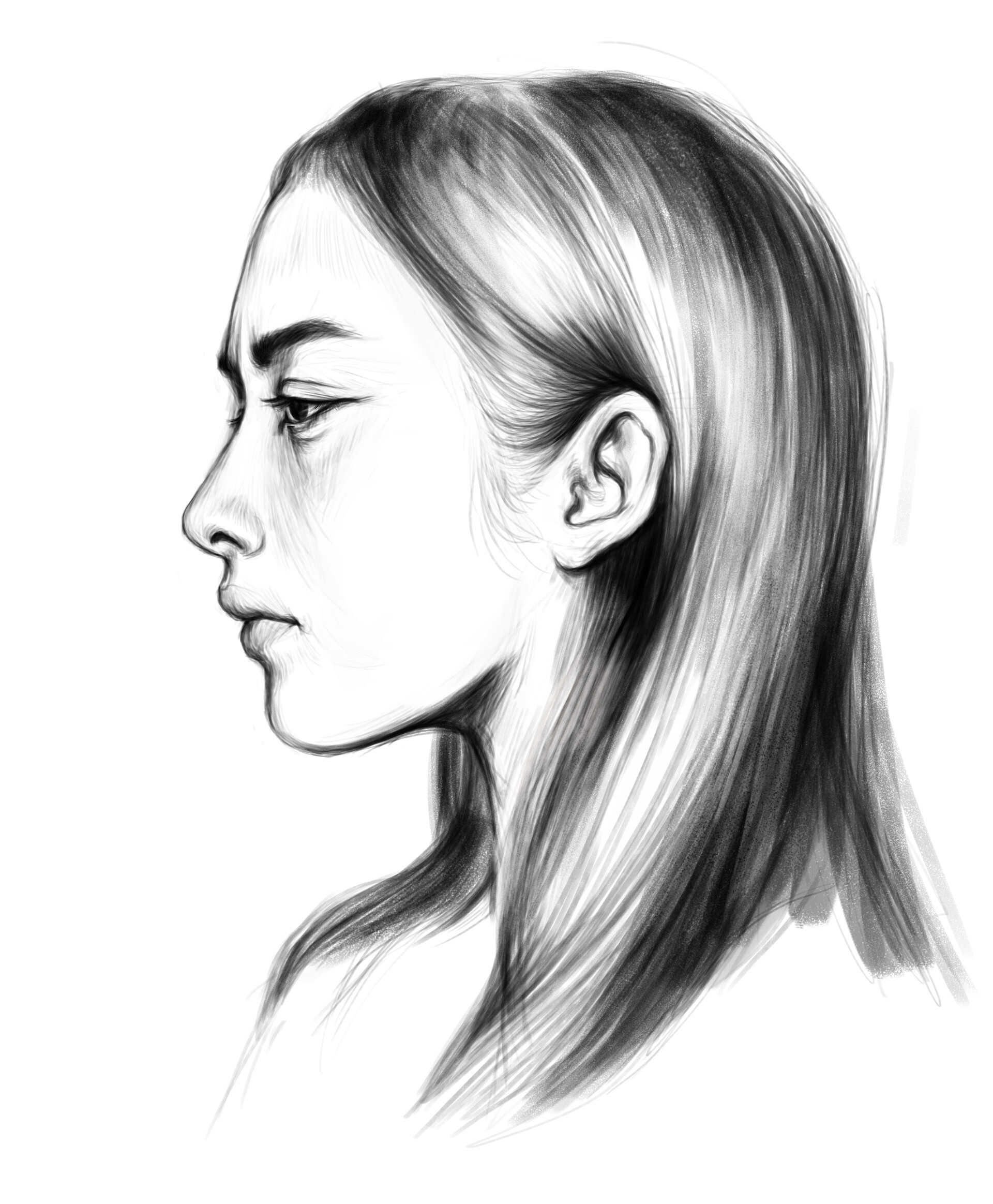 ArtStation - Portrait sketch