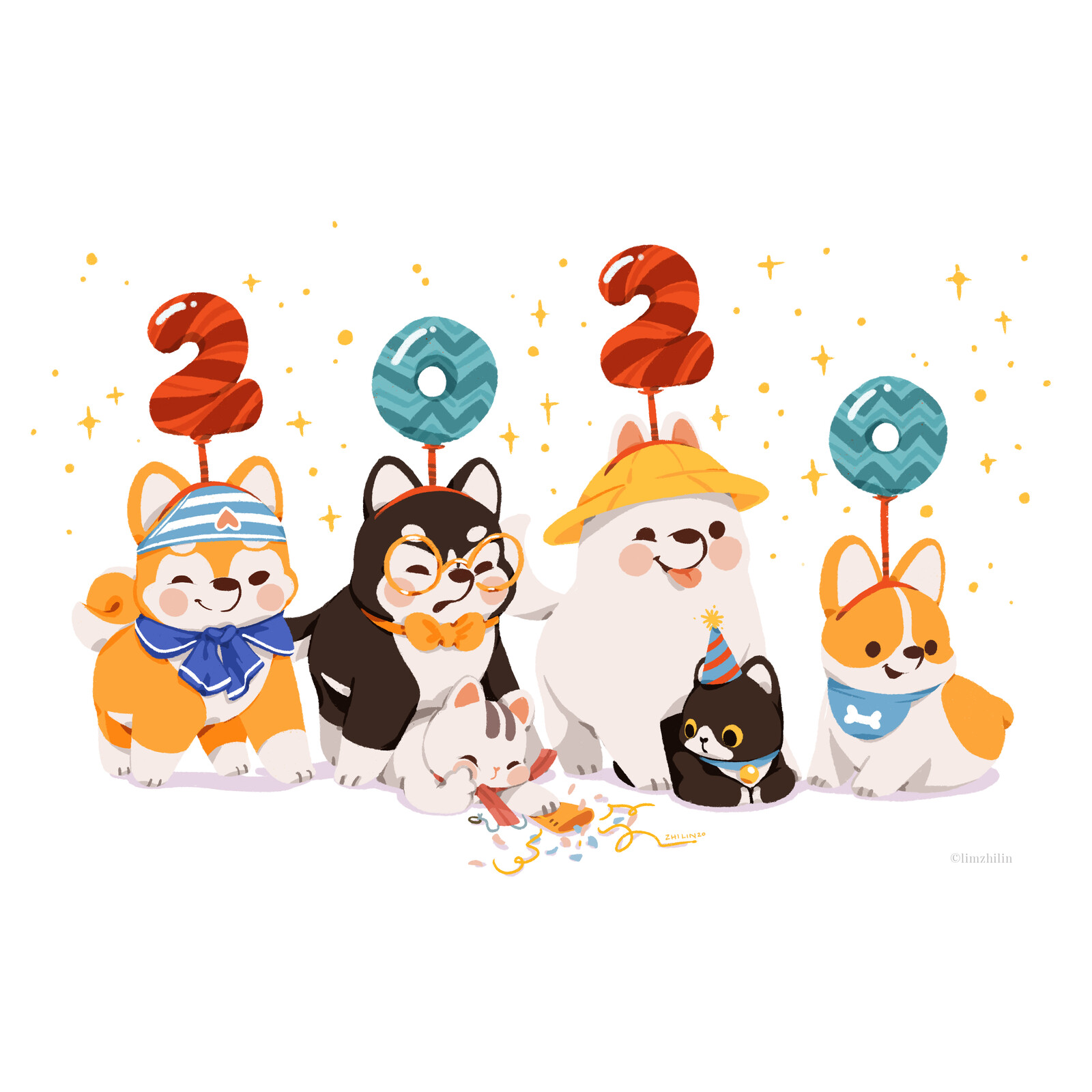 Zhi Lin Lim - Year 2020