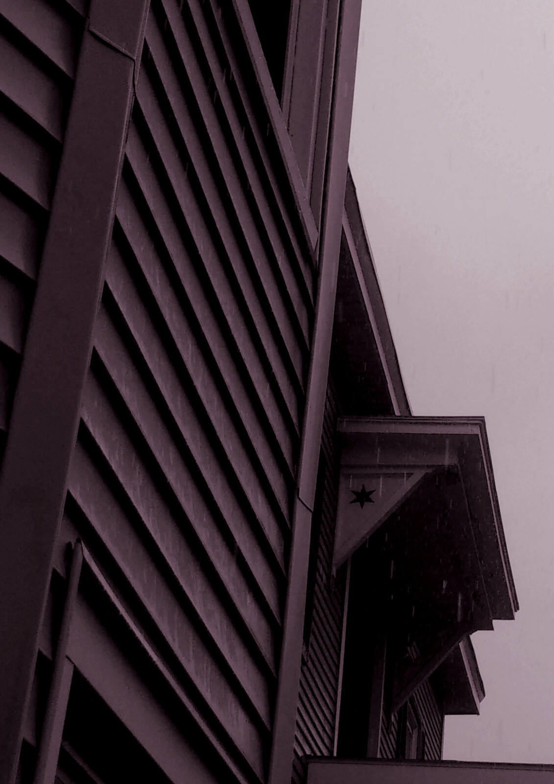 Sarah Allen Reed - Full Package Design for Coma Roulette's "Park Avenue"