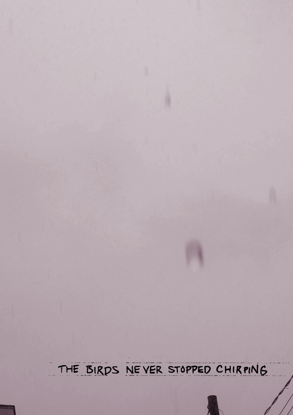 Sarah Allen Reed - Full Package Design for Coma Roulette's "Park Avenue"