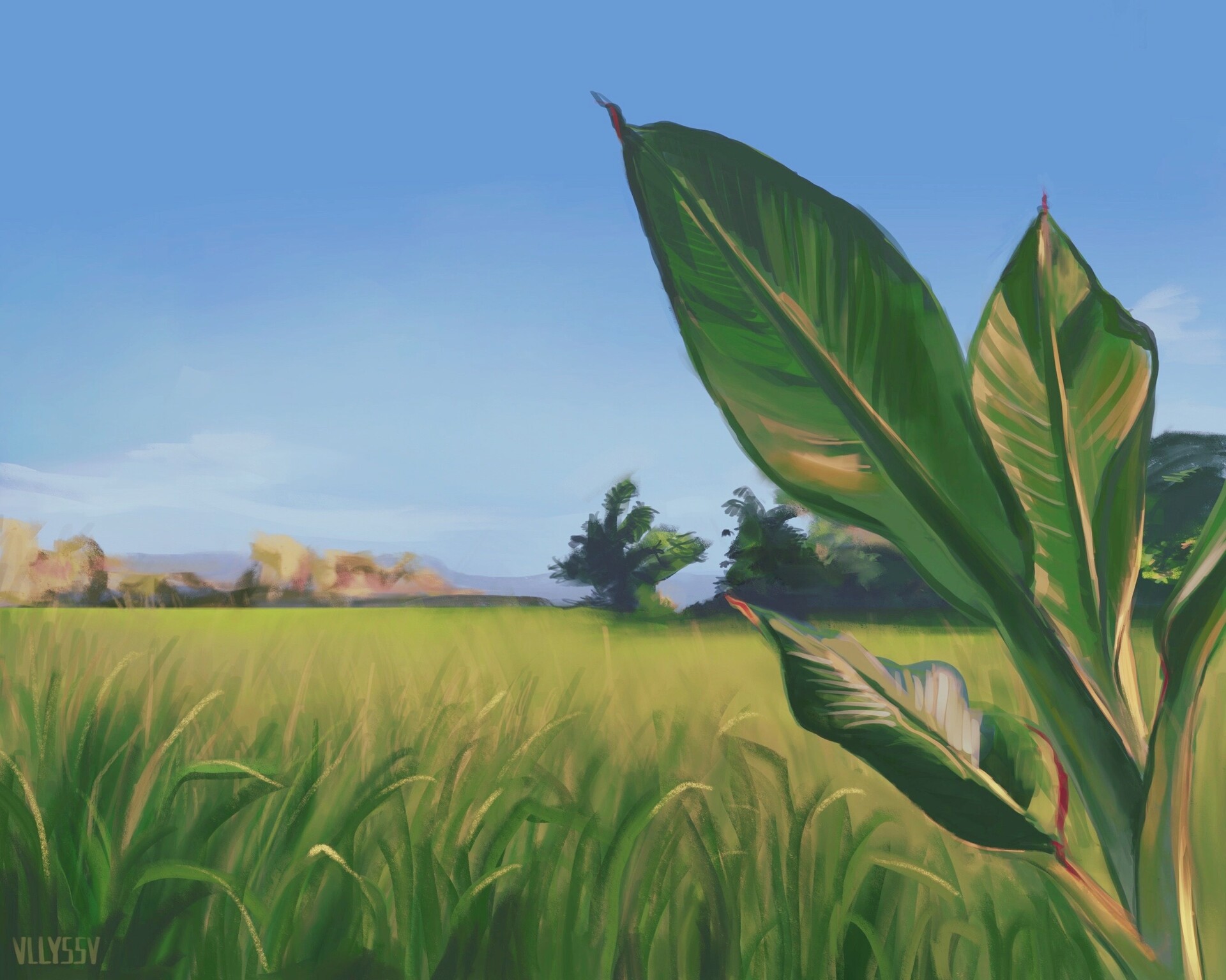 ArtStation - Ricefield