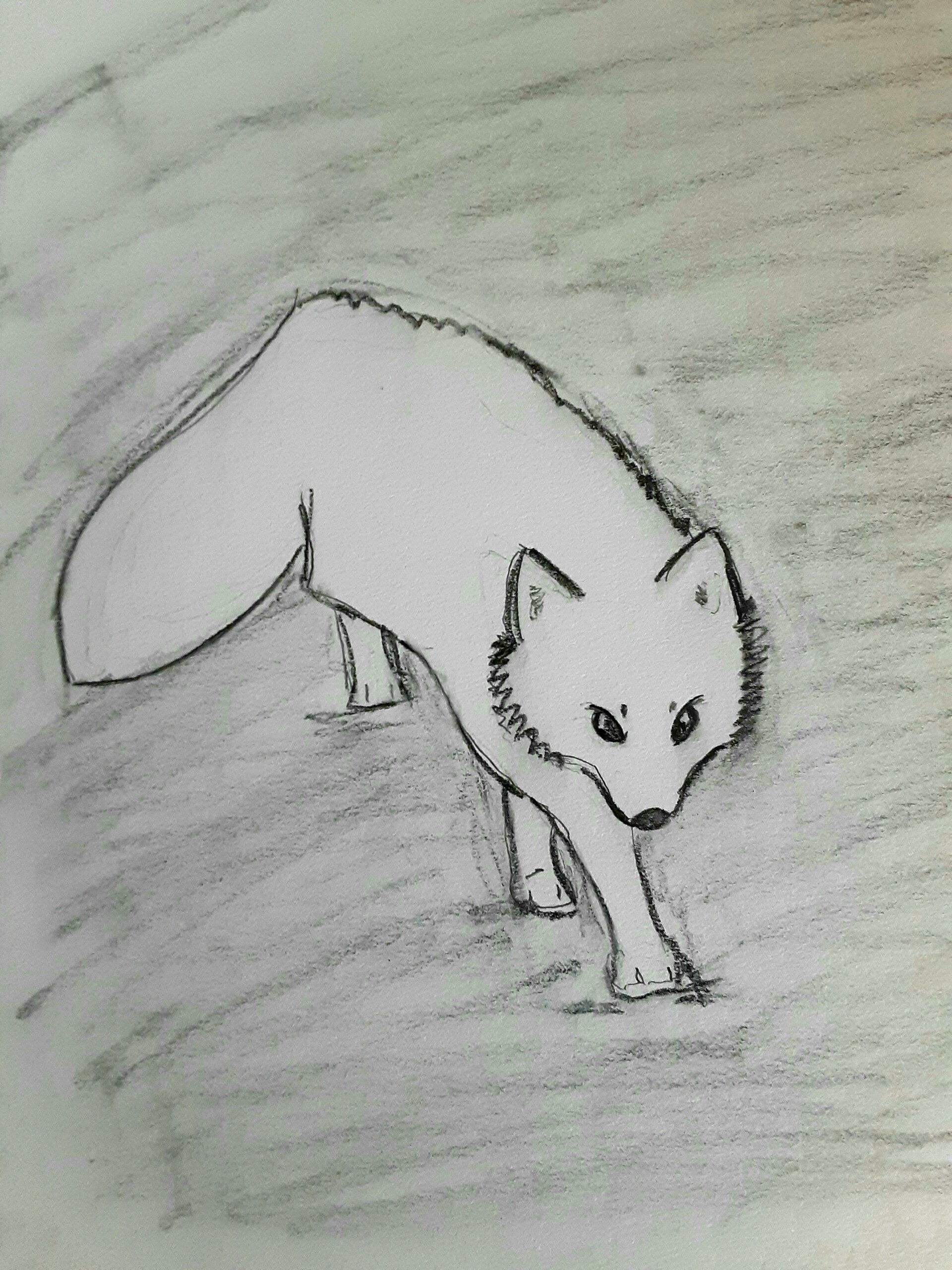 ArtStation - Snow Fox