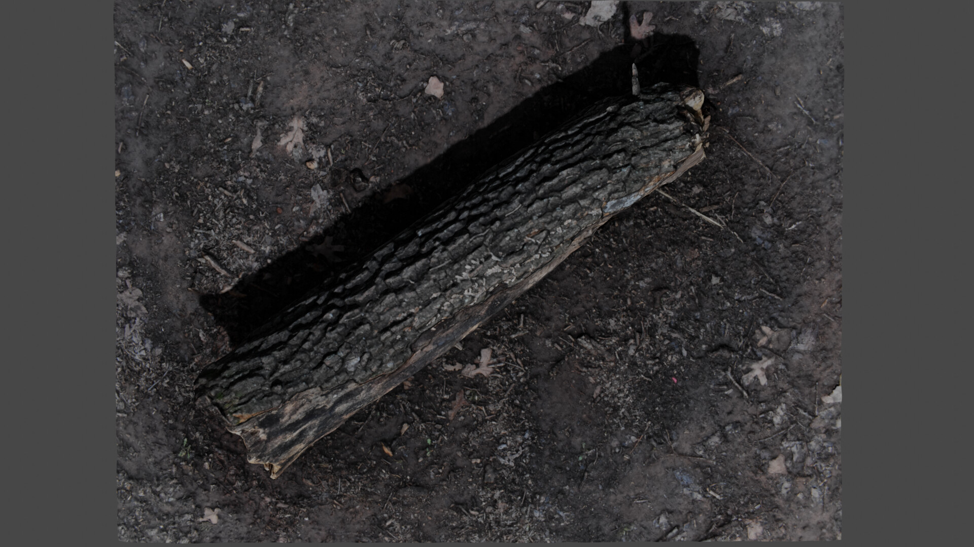 Garrett Wood - Photogrammetry Log Render