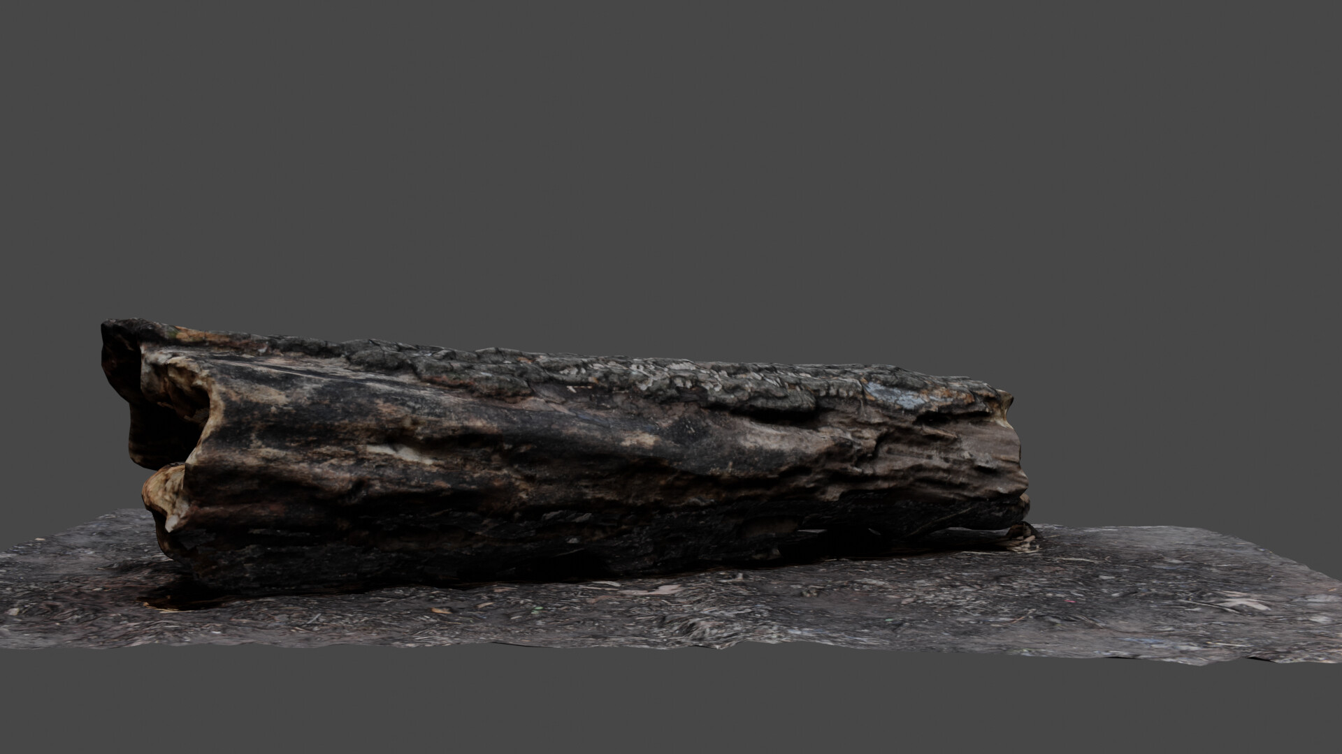Garrett Wood - Photogrammetry Log Render