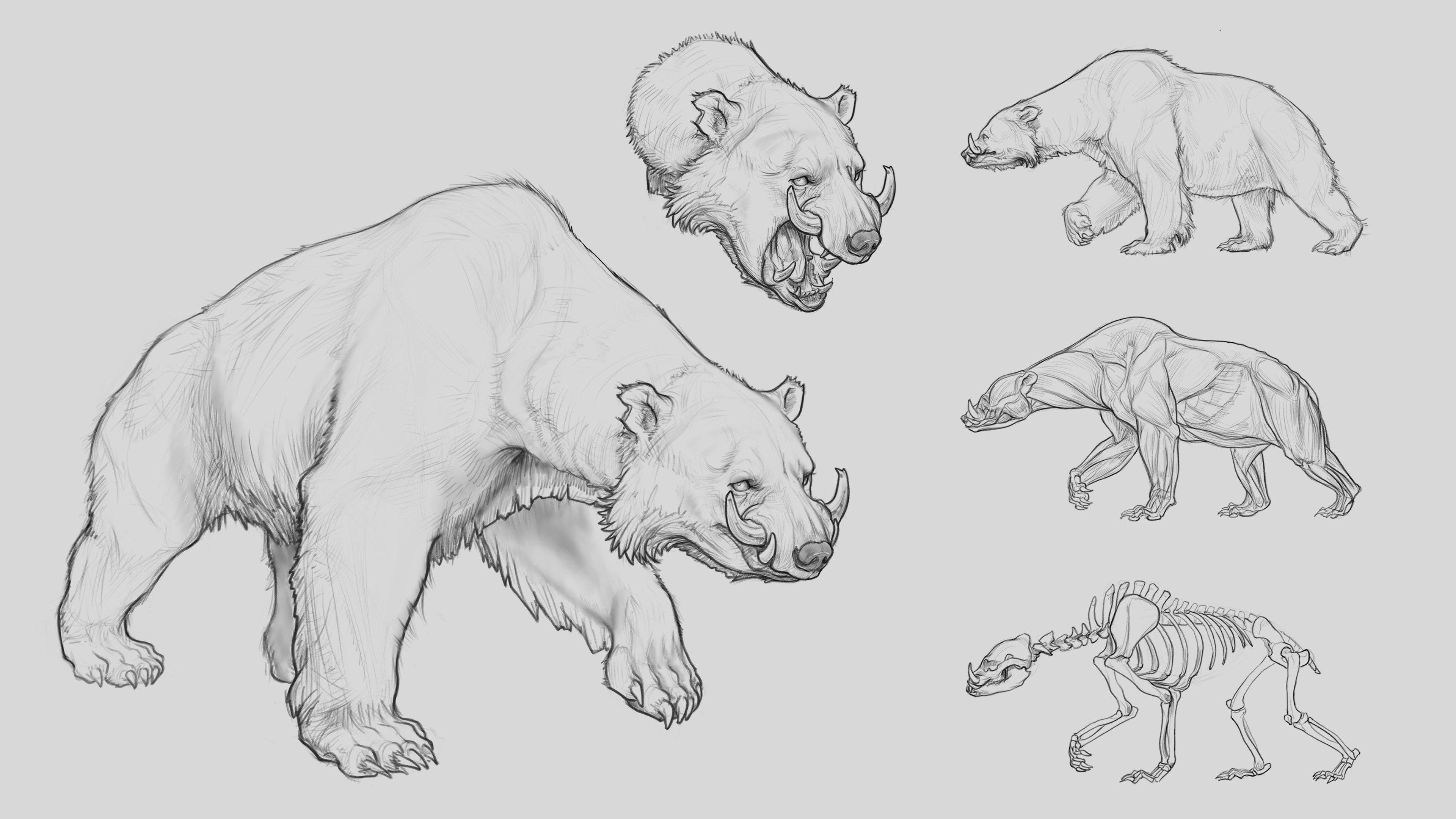 Wayne Chang - Dire Bear