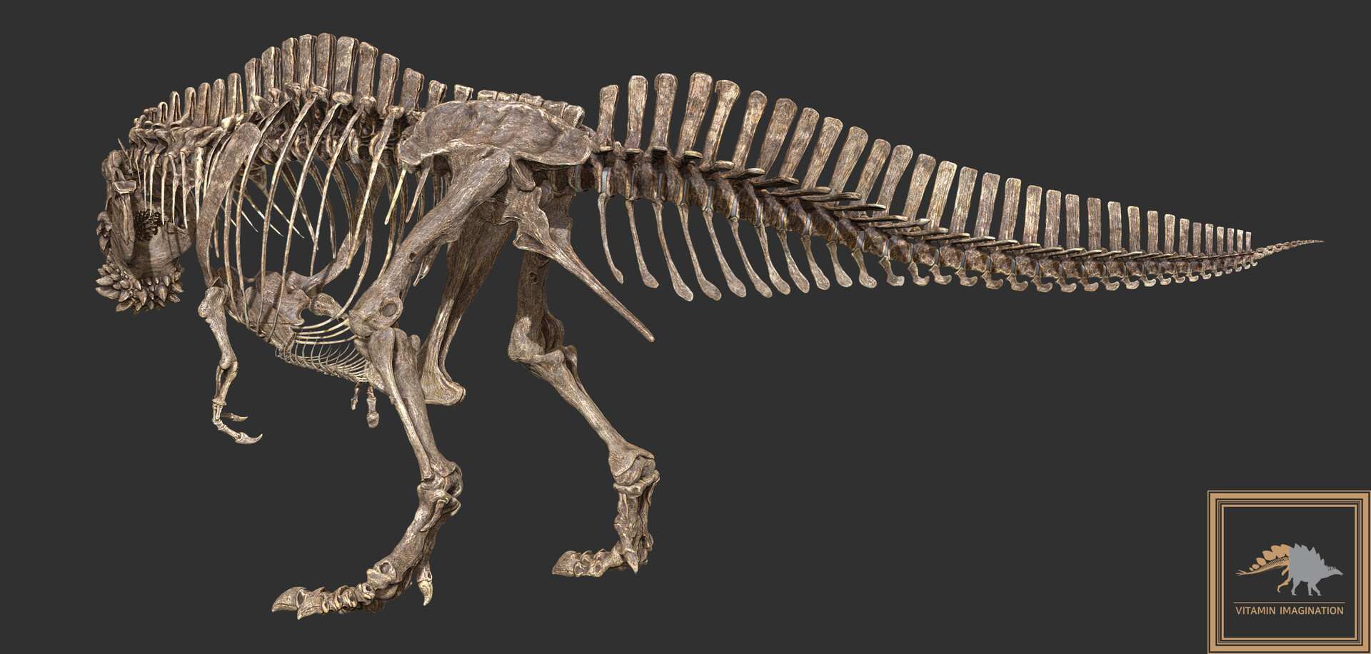 Vitamin Imagination - DEVILJHO skeleton