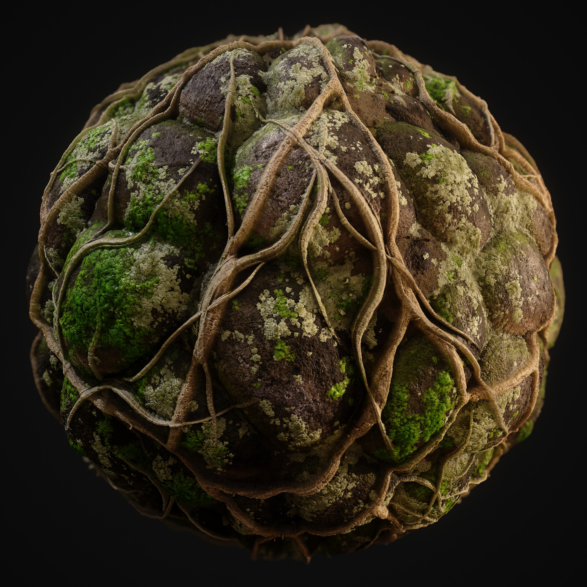 ArtStation - Roots on the rocks - Substance Designer