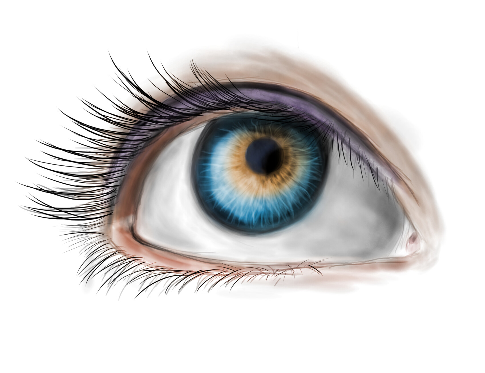 ArtStation - Eye practice