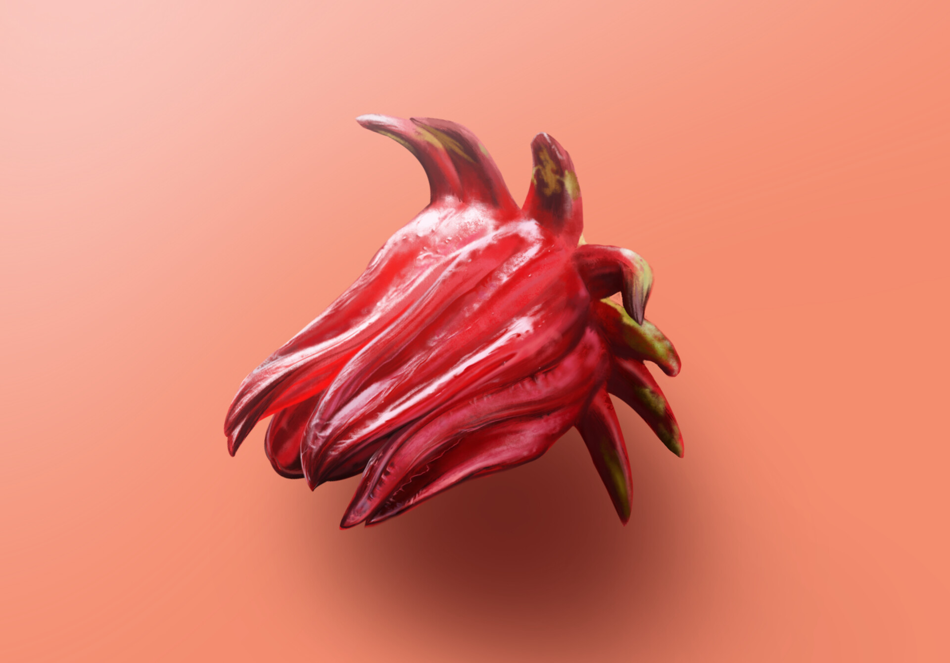 ArtStation - Rosella flower