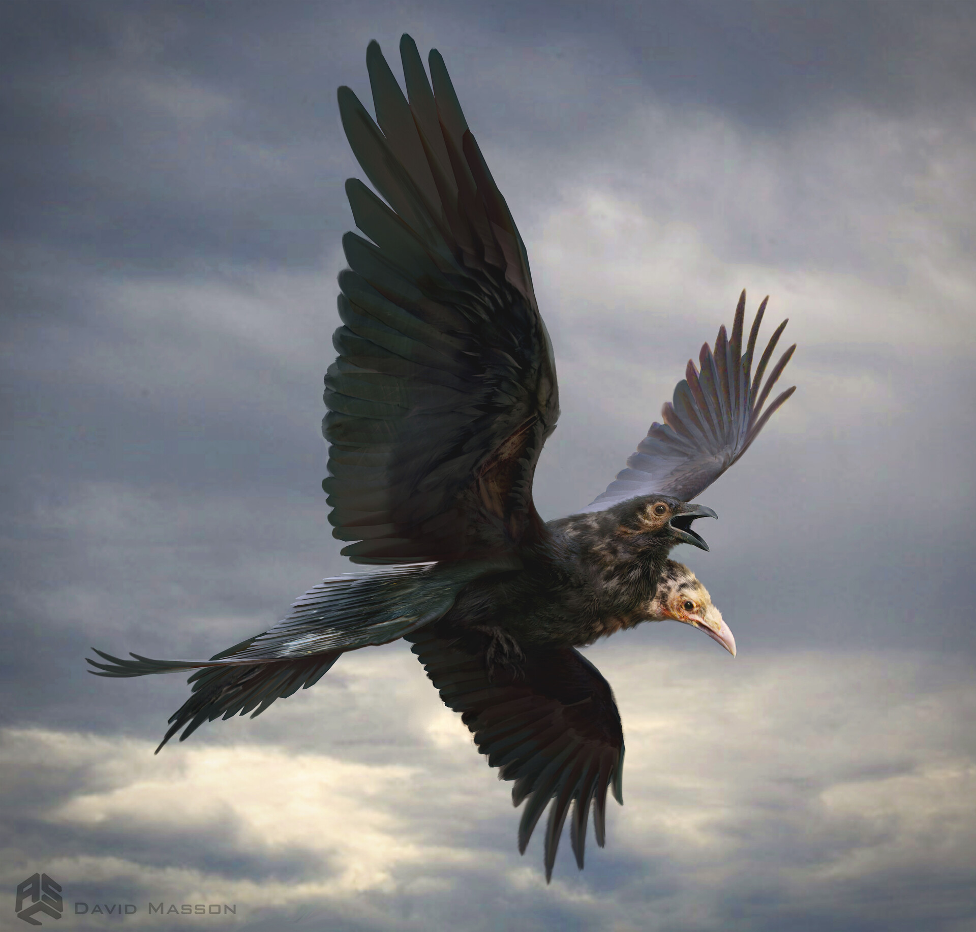 DAVID MASSON SAN GABRIEL - Daybreak Crow