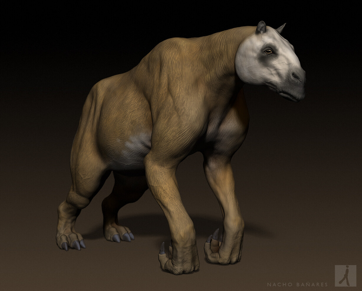 Nacho Banares - Anisodon