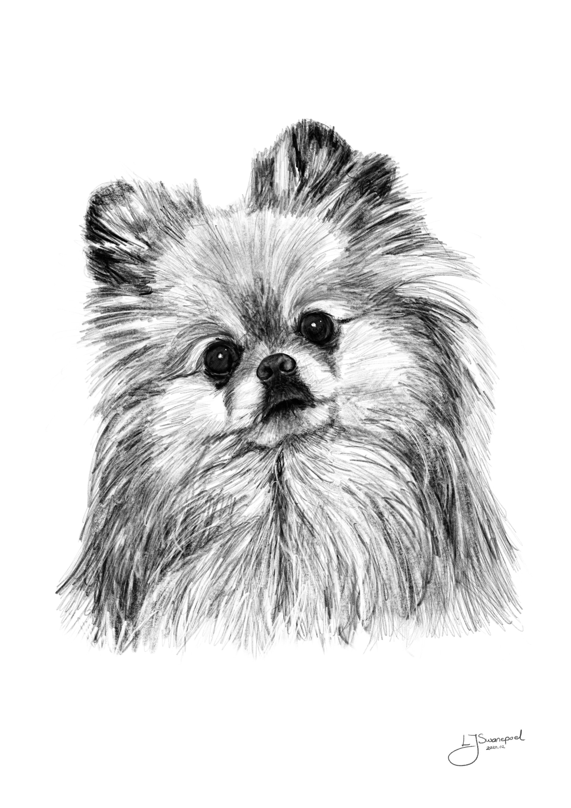ArtStation - Pet Portraits
