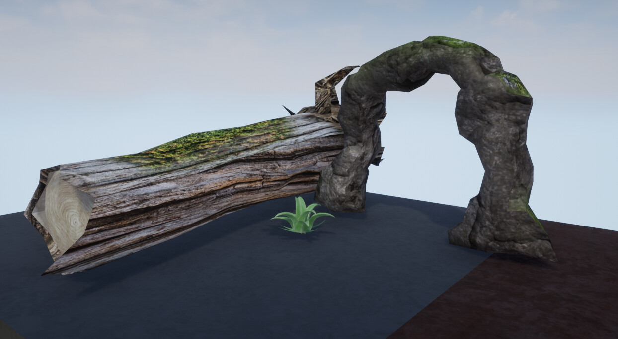 Isaac Matts - Fallen tree, rock arch, aloe plant 3d Models