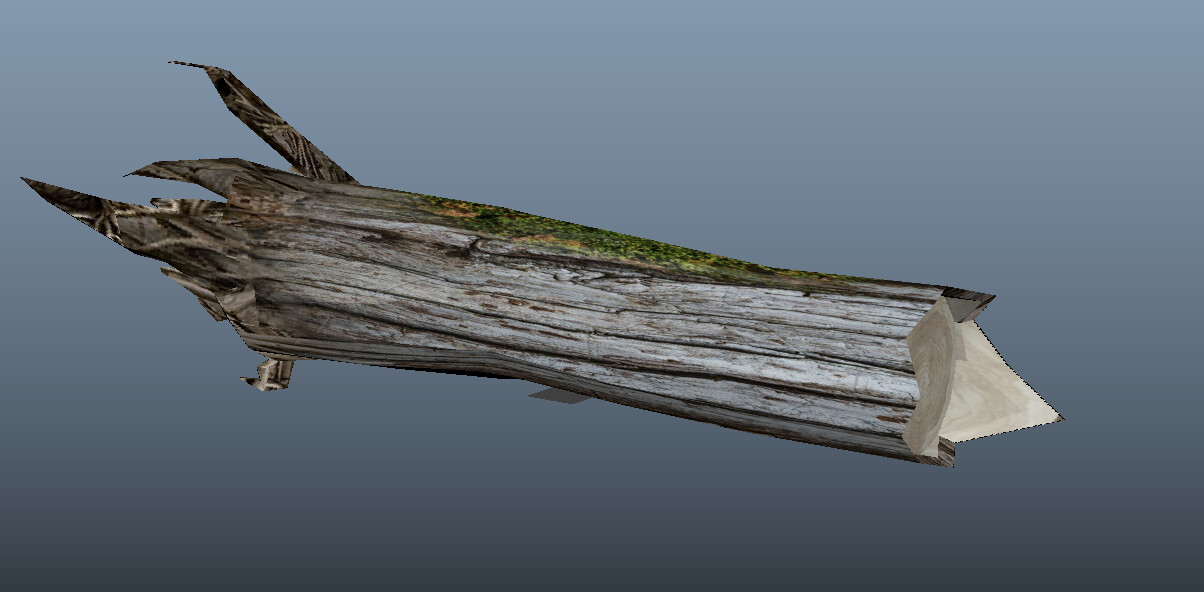Isaac Matts - Fallen tree, rock arch, aloe plant 3d Models