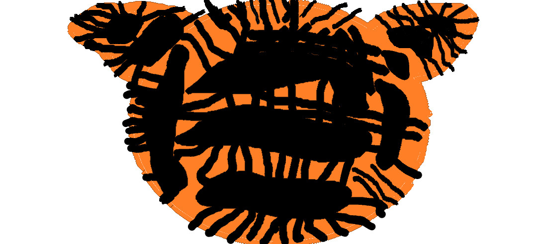 ArtStation - The Back Of Rory The Tiger Character Head And Face ...