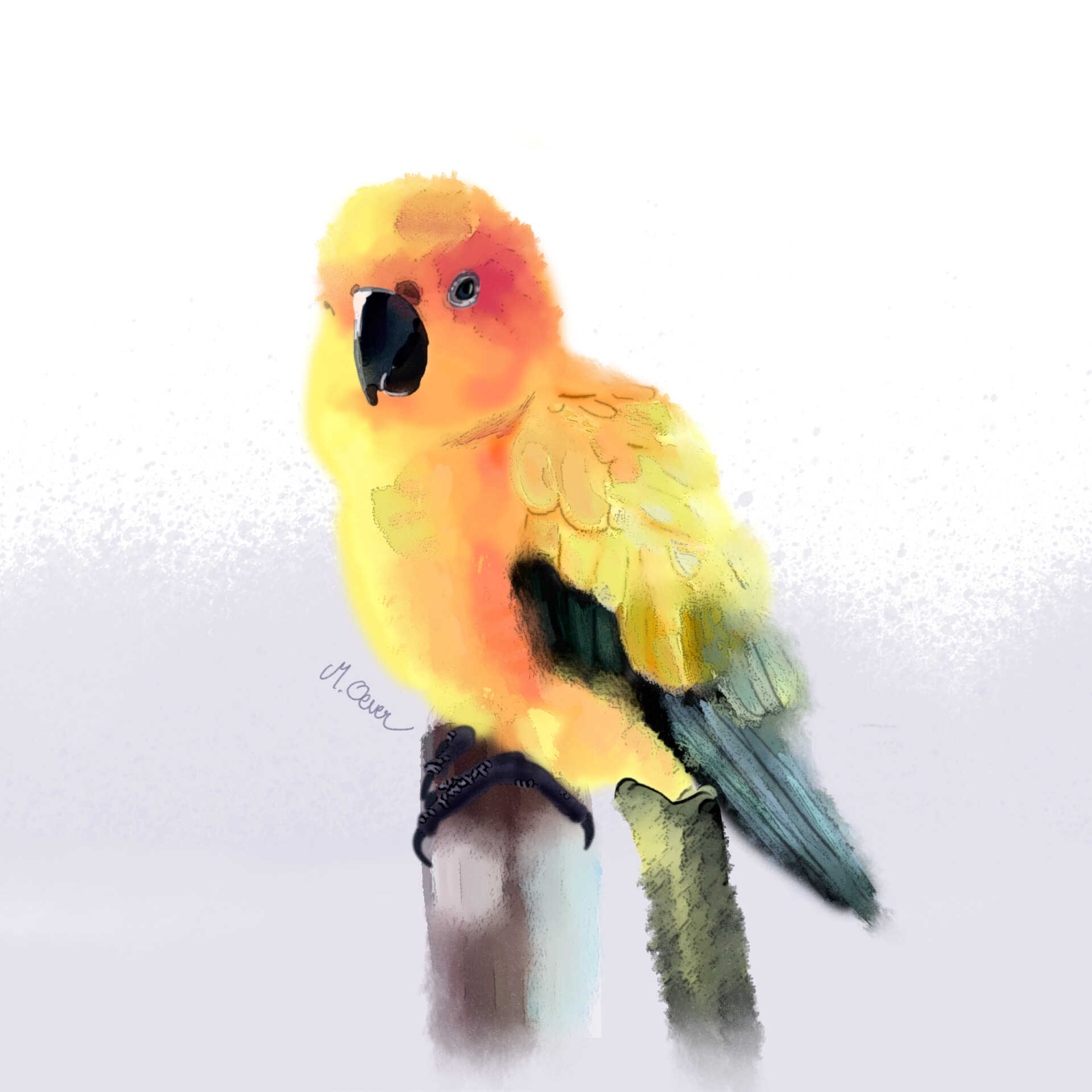 ArtStation - A pretty bird