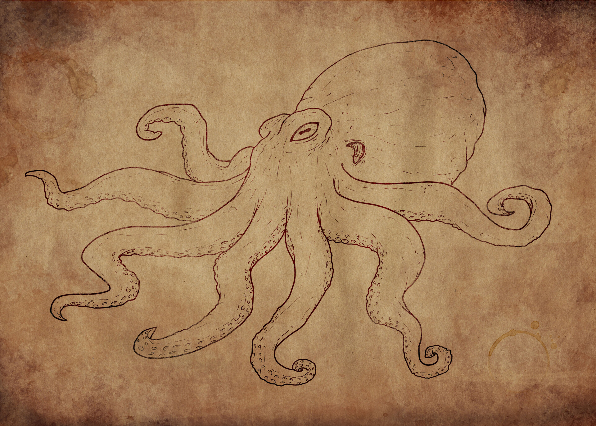 ArtStation - Octopus drawing