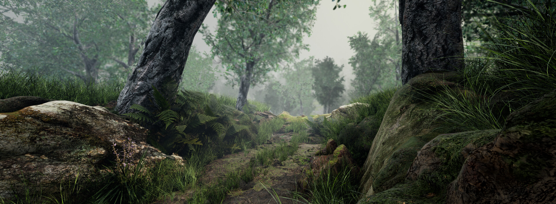 ArtStation - Misty Poplar Forest