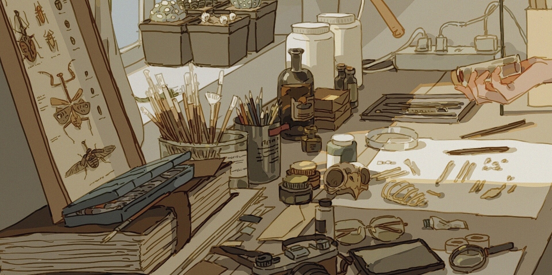 Xi Zhang - Collections