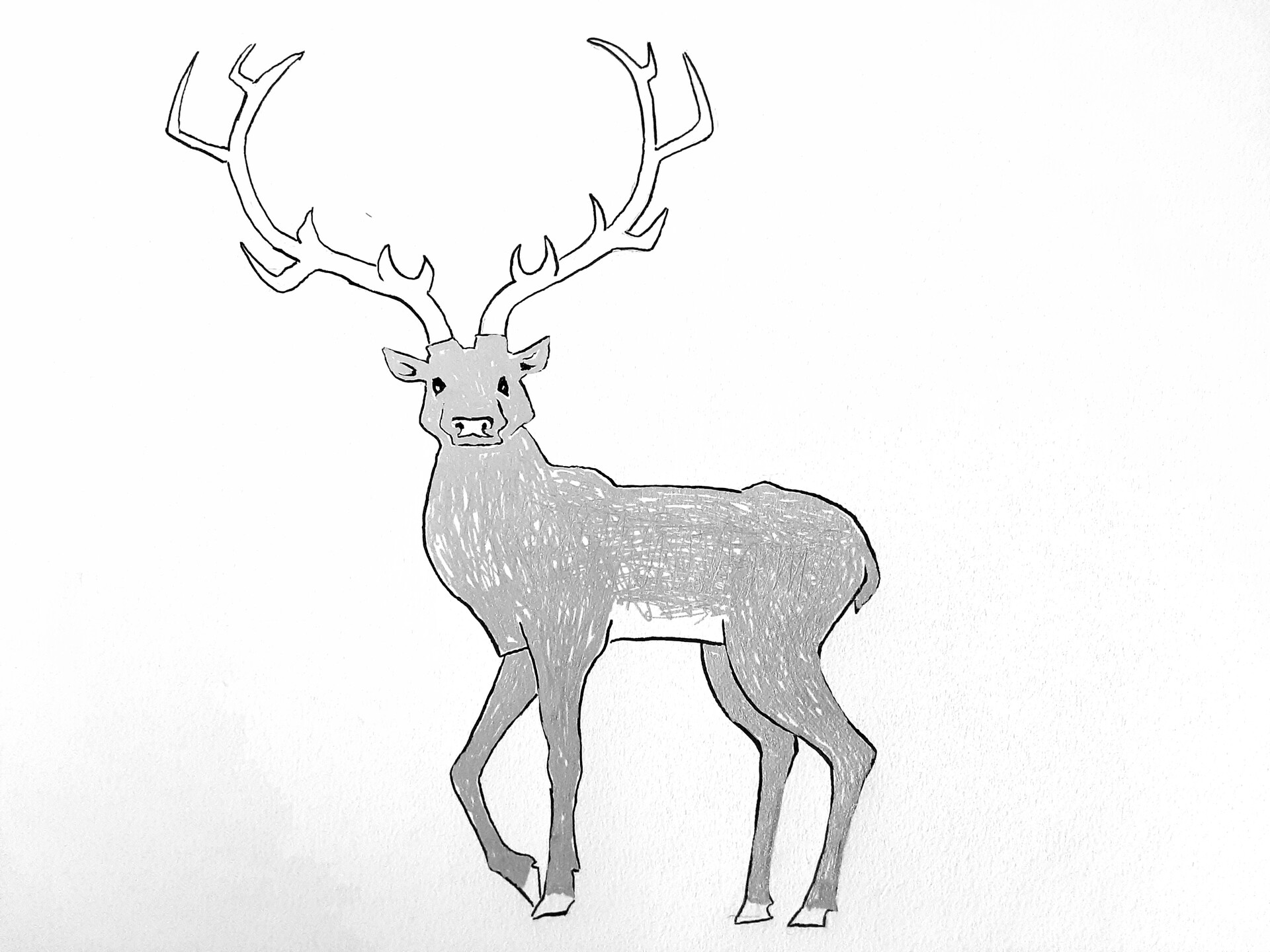 ArtStation - Silver Stag