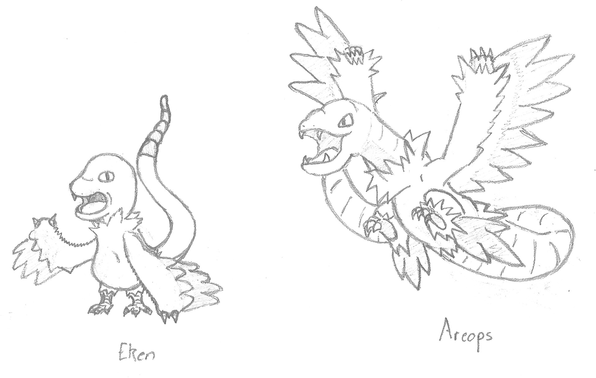 archeops coloring page