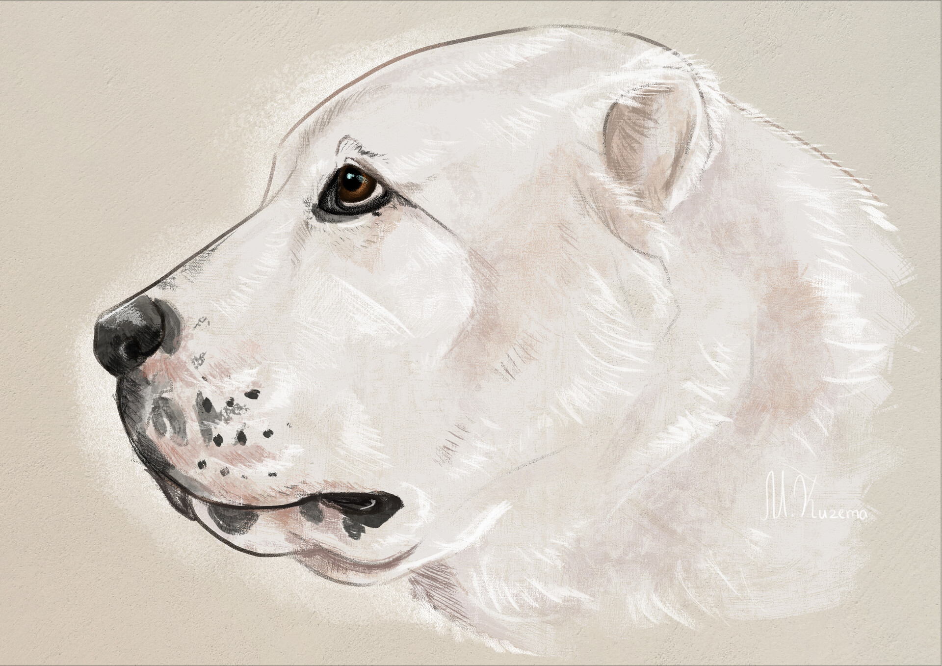 ArtStation - Alabai Central Asian Shepherd Dog portrait sketch
