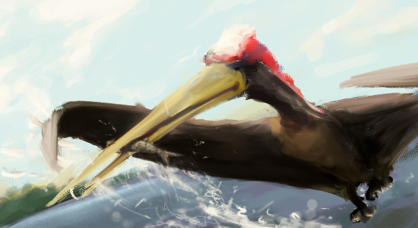 ArtStation - Pterosaur Sketch 1