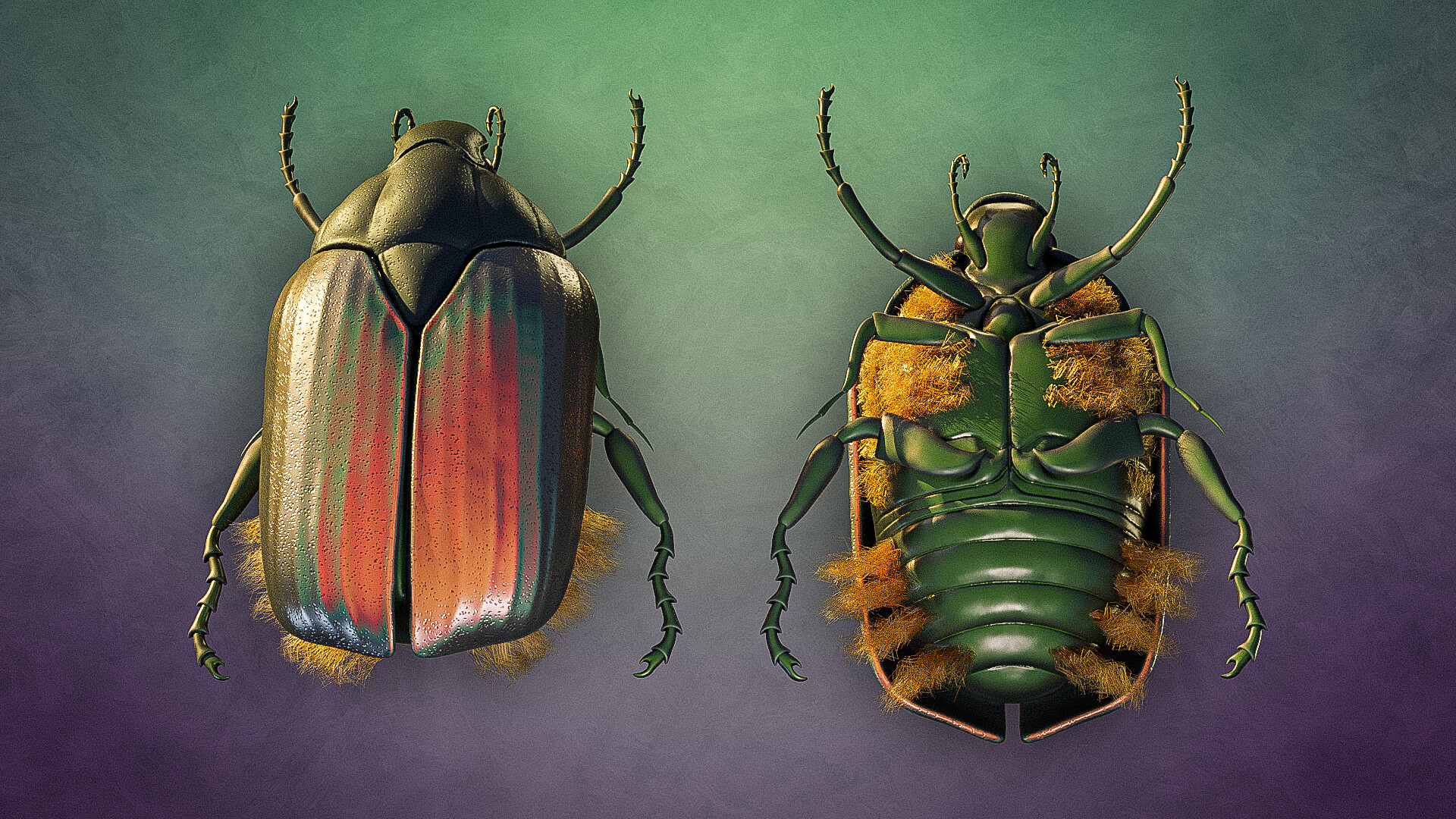 ArtStation - Animals - Creatures - Insects / 01 - Blender 2.82