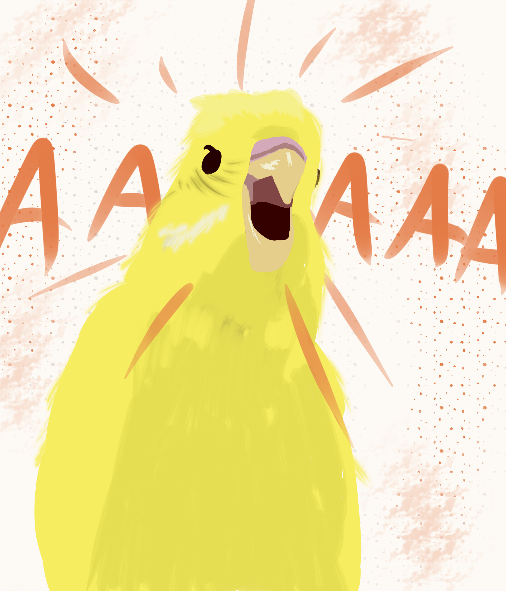 ArtStation - Funny Parrots