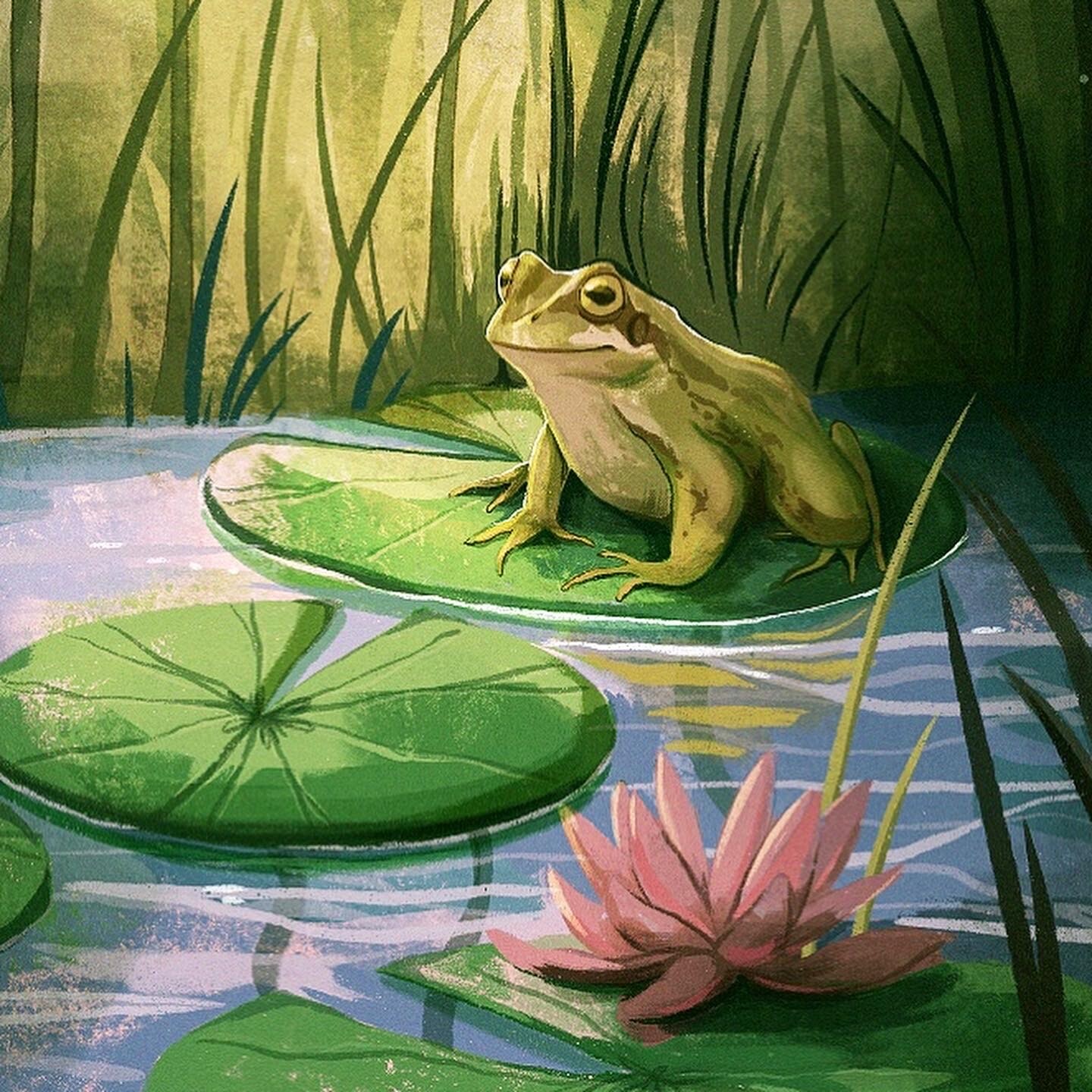 Ponds With Frogs