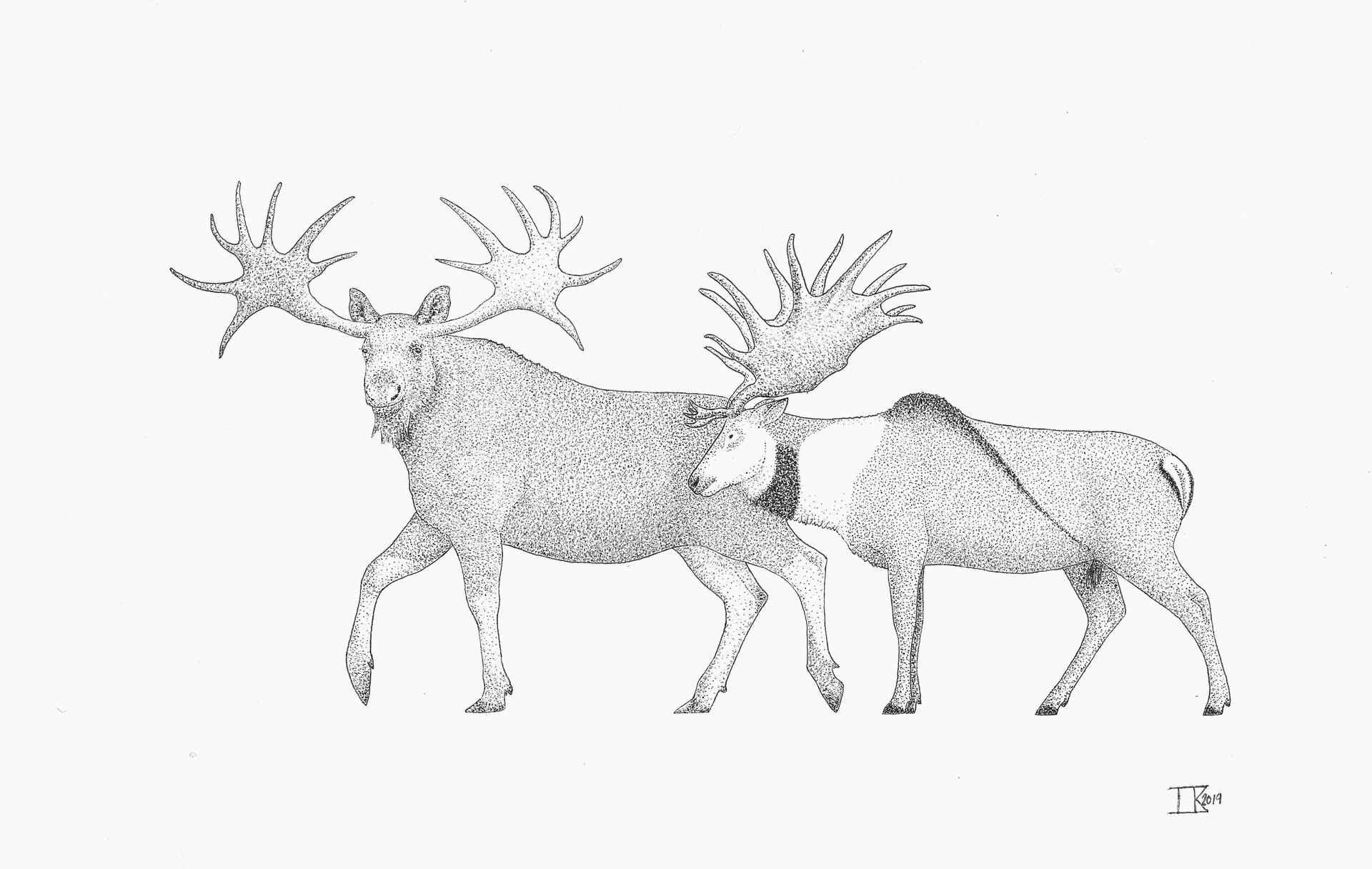 ArtStation - Cervalces and Megaloceros