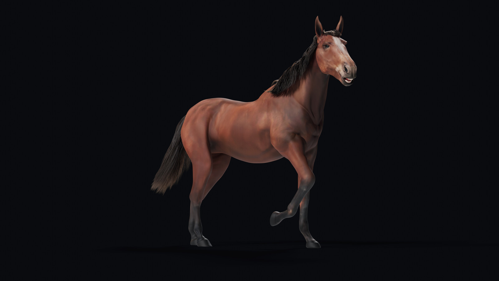 Bas Jansen - Western Cowboy scene