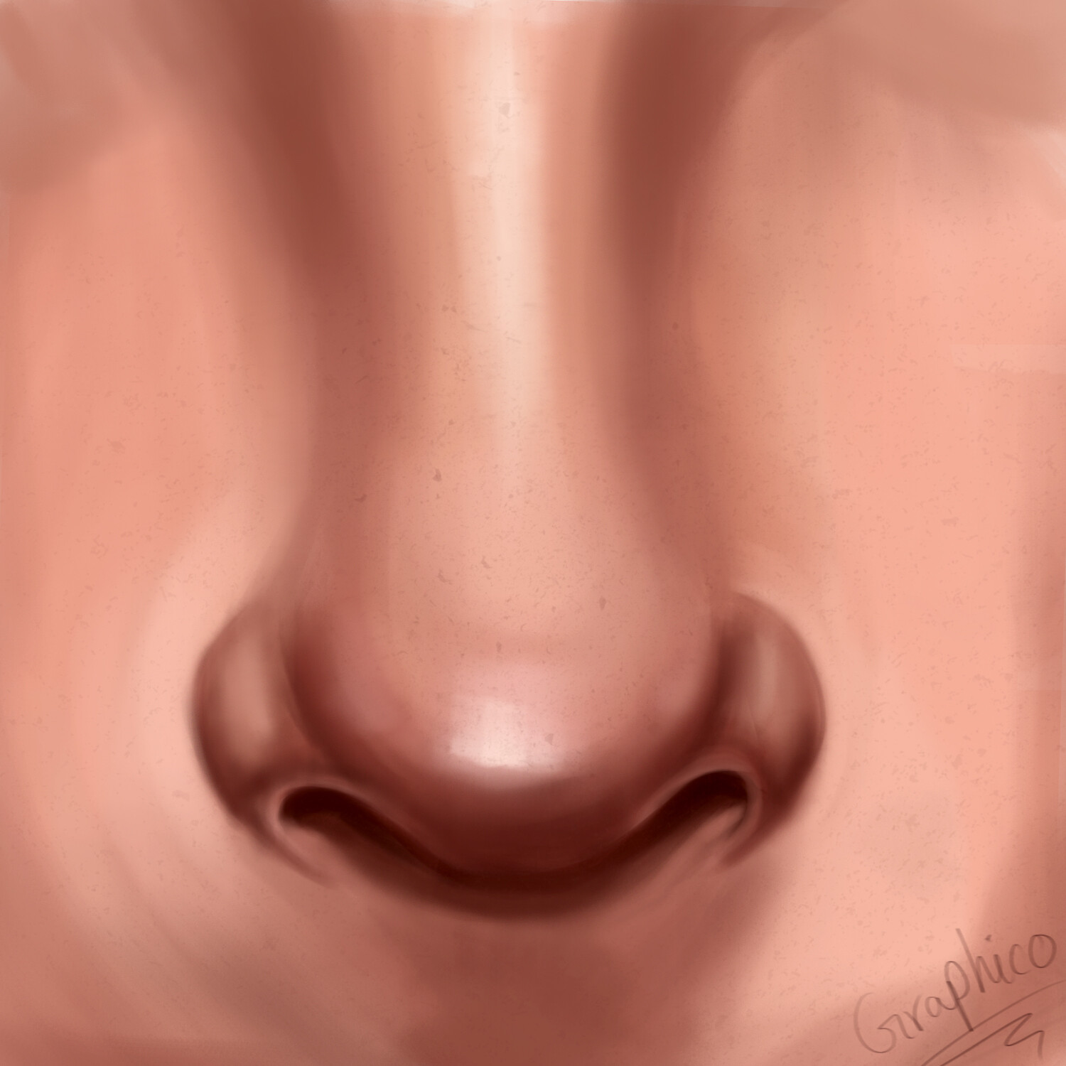 ArtStation - Nose Practice